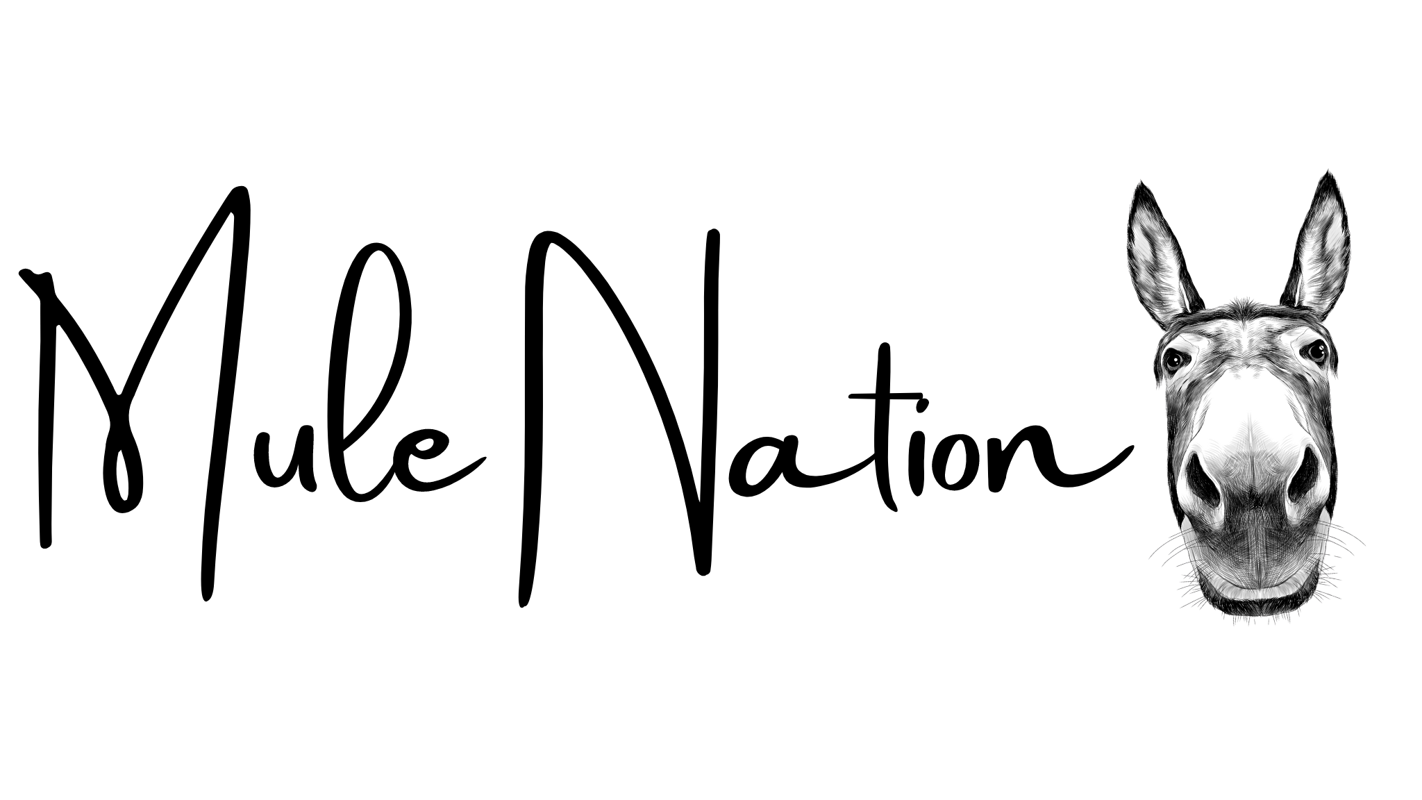 Mule Nation – Raylen James Marketing